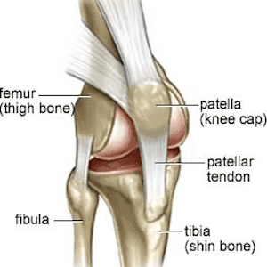 Knieschijf Oefeningen En Behandeling| Fysiotherapie4all