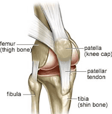 Knieschijf Uit De Kom? - Oefeningen En Behandeling | Fysiotherapie4all